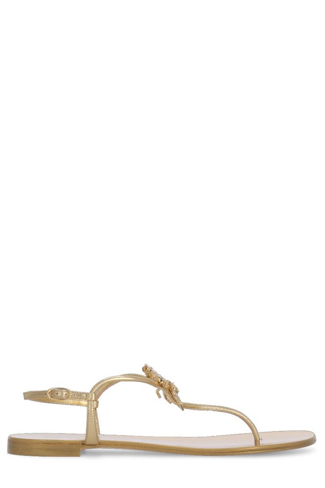 Giuseppe Zanotti Moon Crab Thin-strap Sandals In Gold | ModeSens